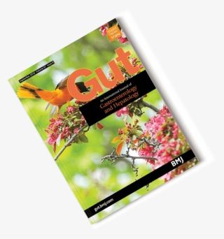 Call For - Abstracts - Flyer PNG Image | Transparent PNG Free Download ...