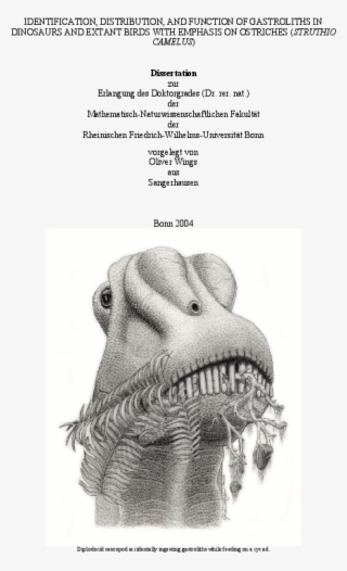 Pdf - Gastrolith PNG Image | Transparent PNG Free Download on SeekPNG