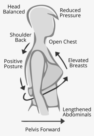 Ewa Michalak, Plus Size Model, Plus Size Lingerie, - Drawing PNG Image ...