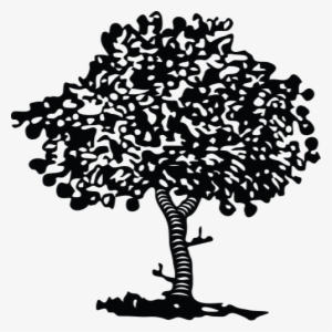 Aws Partner Logo PNG Image | Transparent PNG Free Download on SeekPNG