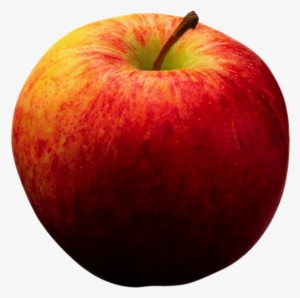 Apple - Apple A Day Doctor PNG Image | Transparent PNG Free Download on ...