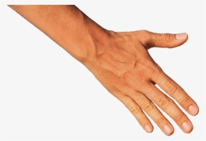 Transparent Hand Down PNG Image | Transparent PNG Free Download on SeekPNG