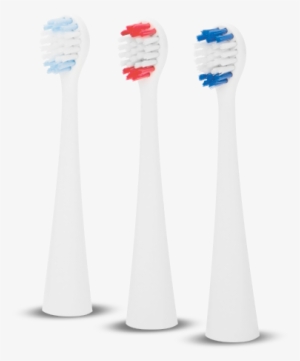 Interchangeable Brush Heads - Toothbrush Replacement Head PNG Image ...