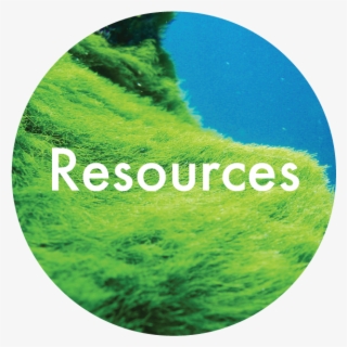 Resources-05 - Circle PNG Image | Transparent PNG Free Download on SeekPNG