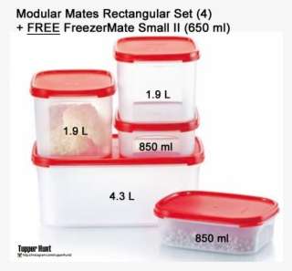 *in Stock* Tupperware® Modular Mates Rectangular Set, - Mm Rectangular ...