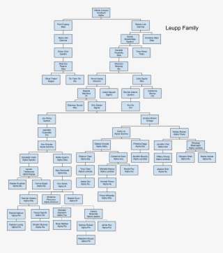 Io Family Diagram - Obs Studio Camera Hdmi PNG Image | Transparent PNG ...