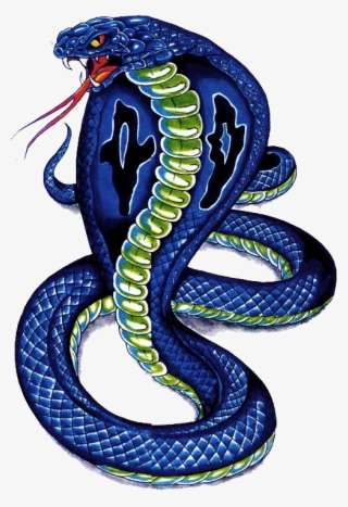 Blue Snake Clipart Images