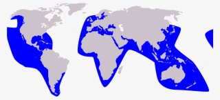 Open - False Killer Whale Map PNG Image | Transparent PNG Free Download ...