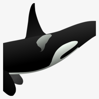 Blue Whale Clipart Orca - Killer Whales Clipart PNG Image | Transparent ...