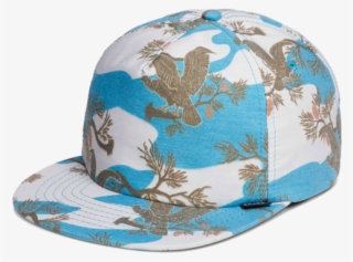 Captain Condor Hat - Baseball Cap PNG Image | Transparent PNG Free ...