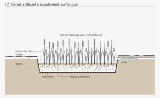 Free Water Surface Constructed Wetland Diagram Fr - Flow Constructed ...