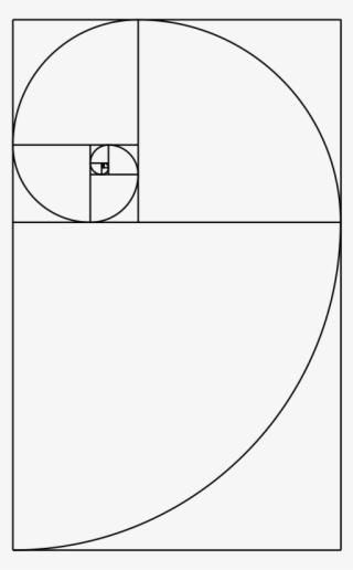 Fibonacci Spiral 34 Dicklyon - Fibonacci Sequence In Nature PNG Image ...