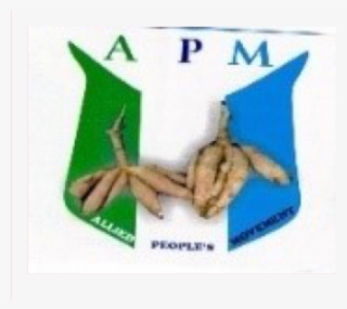 Allied People's Movement - Sea Turtle PNG Image | Transparent PNG Free ...