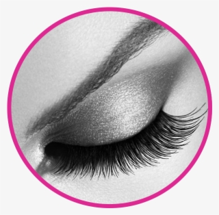 Eye Lashes Png PNG Image | Transparent PNG Free Download on SeekPNG