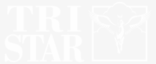 Tristar - Released By Tristar Pictures Logo PNG Image | Transparent PNG ...