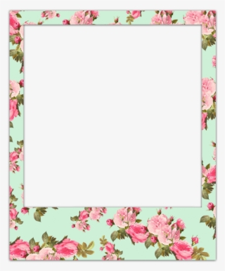 800 X 800 Png 293kbpolaroid - Photography PNG Image | Transparent PNG ...