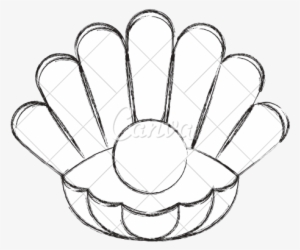 Pearl Shell Drawing At Getdrawings - Pearls Drawing PNG Image ...