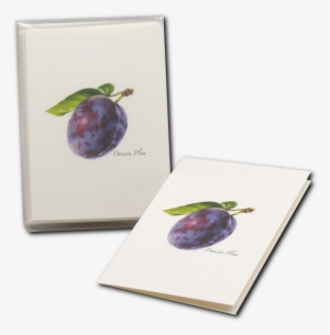 Gooseberry PNG Image | Transparent PNG Free Download on SeekPNG