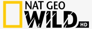 National Geographic Logo Transparent Wwwimgkidcom - Телеканал Nat Geo ...