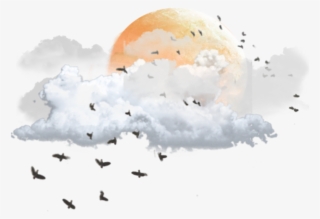 Report Abuse - Aqeel Al Raisi PNG Image | Transparent PNG Free Download ...