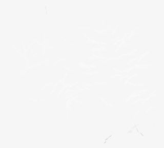 Preview - Sketch PNG Image | Transparent PNG Free Download on SeekPNG