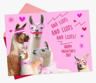 Love You Lots Llamas Valentine's Day - Llama PNG Image | Transparent ...