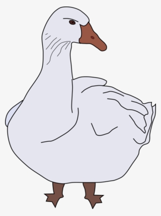 Goose - Duck PNG Image | Transparent PNG Free Download on SeekPNG