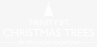 Trinity Street Christmas Tree Logo - Christmas Tree PNG Image ...