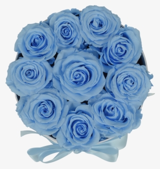 Flor Baby Blue Rose - Light Blue Rose Png PNG Image | Transparent PNG ...