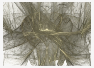 Cobwebs Png - Organic Texture Png PNG Image | Transparent PNG Free ...