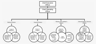 Organisational Structure - Diagram PNG Image | Transparent PNG Free ...