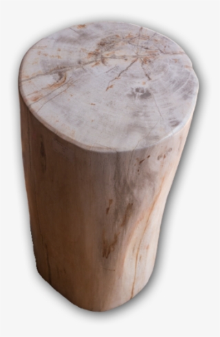 Petrified Wood Log Stool Pf-2105 PNG Image | Transparent PNG Free ...