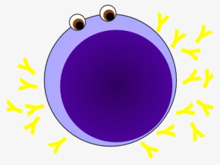 Plasma Clipart Lymphocyte - Circle PNG Image | Transparent PNG Free ...