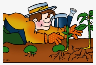 Seed Clipart Plant Life Cycle - Plant Life Cycle Clip PNG Image ...