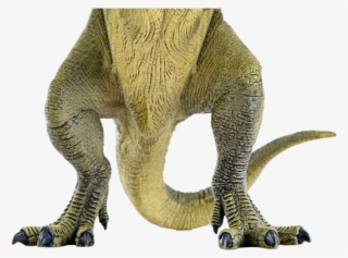 Dinosaur Legs Png PNG Image | Transparent PNG Free Download on SeekPNG