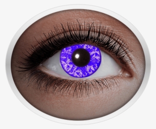 Contact Lenses PNG Image | Transparent PNG Free Download on SeekPNG