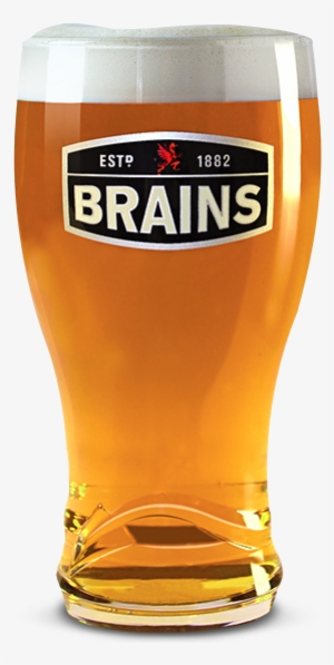 Sa Gold - Brain Brewery Tour PNG Image | Transparent PNG Free Download ...