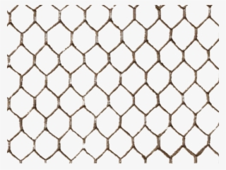 P5 - 5 - Chicken PNG Image | Transparent PNG Free Download on SeekPNG