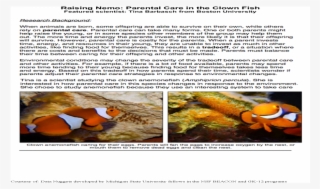 Parental Care In The Clown Fish Of - Coral Reef Fish PNG Image ...