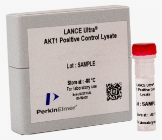 Lance Ultra Akt1 Positive Control Lysate - Perkinelmer PNG Image ...
