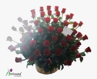 Rosas Rojas Vector Png - Red Rose Flower Drawing PNG Image ...