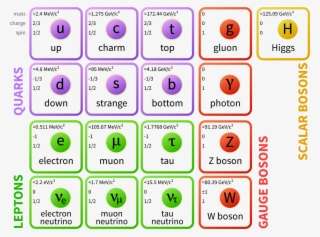 Standard Model PNG Image | Transparent PNG Free Download on SeekPNG