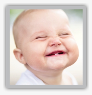 Baby Teeth Png - Tooth PNG Image | Transparent PNG Free Download on SeekPNG