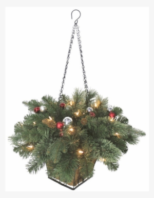 Transparent Hanging Basket Png PNG Image | Transparent PNG Free ...