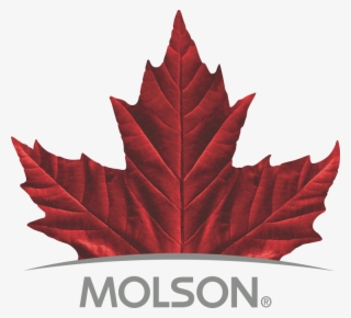 Molsonlogo - Molson Canadian Light Logo PNG Image | Transparent PNG ...