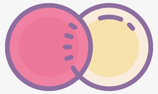 Mastercard Logo Png - Circle PNG Image | Transparent PNG Free Download ...