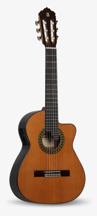 Requinto 5 P Cw - Cort Cec 5 Nat PNG Image | Transparent PNG Free ...