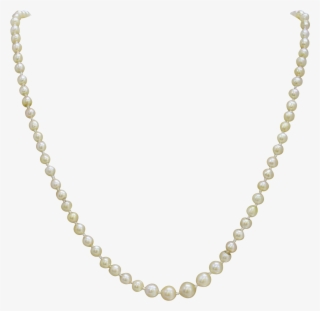 Pearl Strands Png - Pearl Necklace Png PNG Image | Transparent PNG Free ...