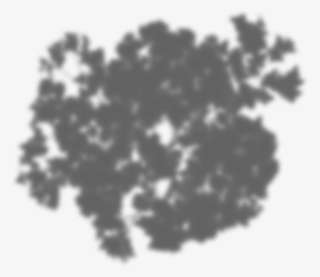 Forums - Tree PNG Image | Transparent PNG Free Download on SeekPNG
