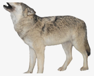 Wolf Clipart Party - Minecraft Wolf Army PNG Image | Transparent PNG ...